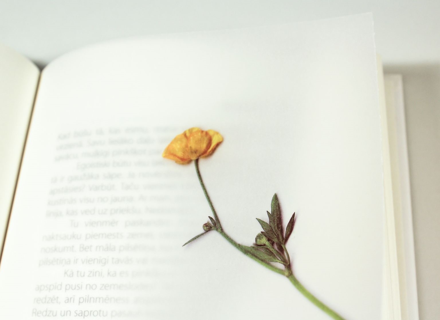 ¿Dónde iniciar los capítulos para un buen diseño editorial?